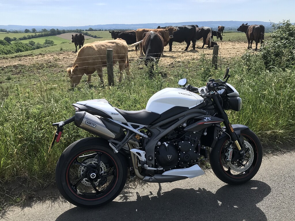 British Beef - Now that's funny! - Triumph Motorcycle Forum