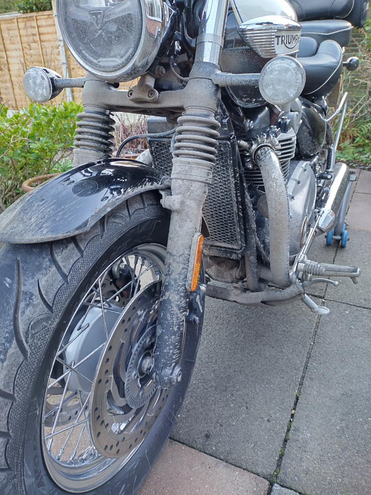 What You Been Doing With Your Triumph Today - #985 by BrownMouse ...